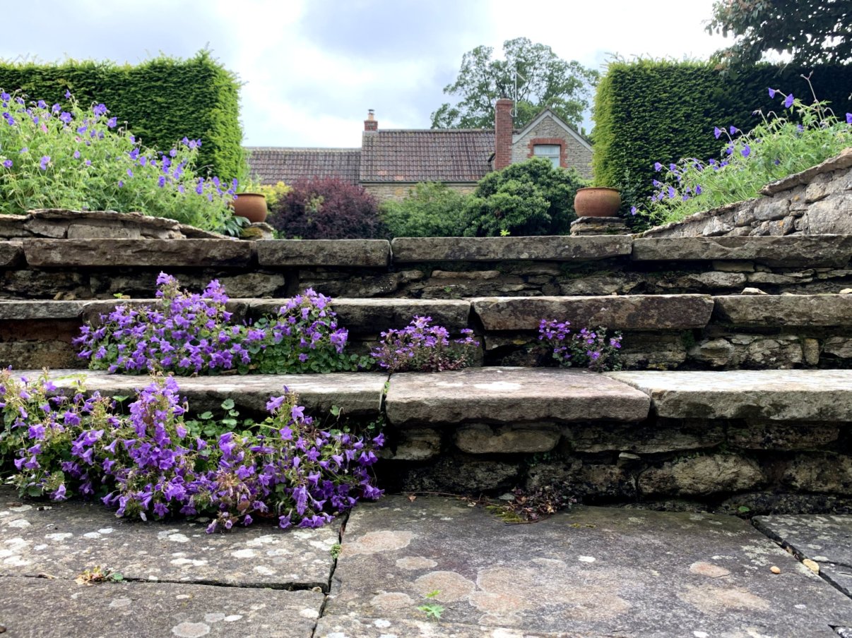 7- steps – My Unorganized Life